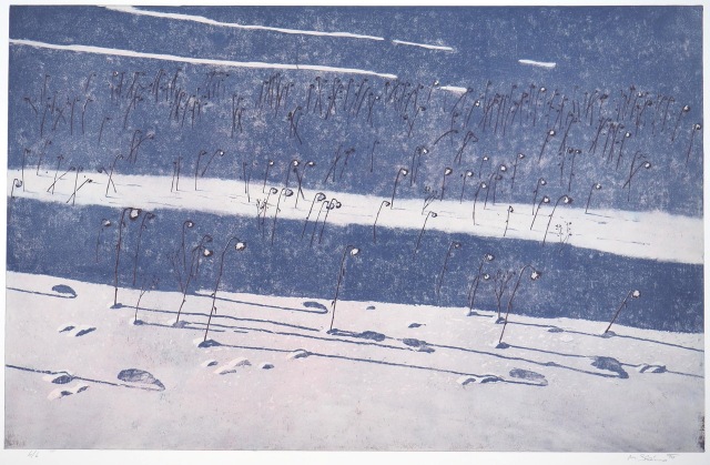 Linoryty Na hladině - SLÁMA PRESS