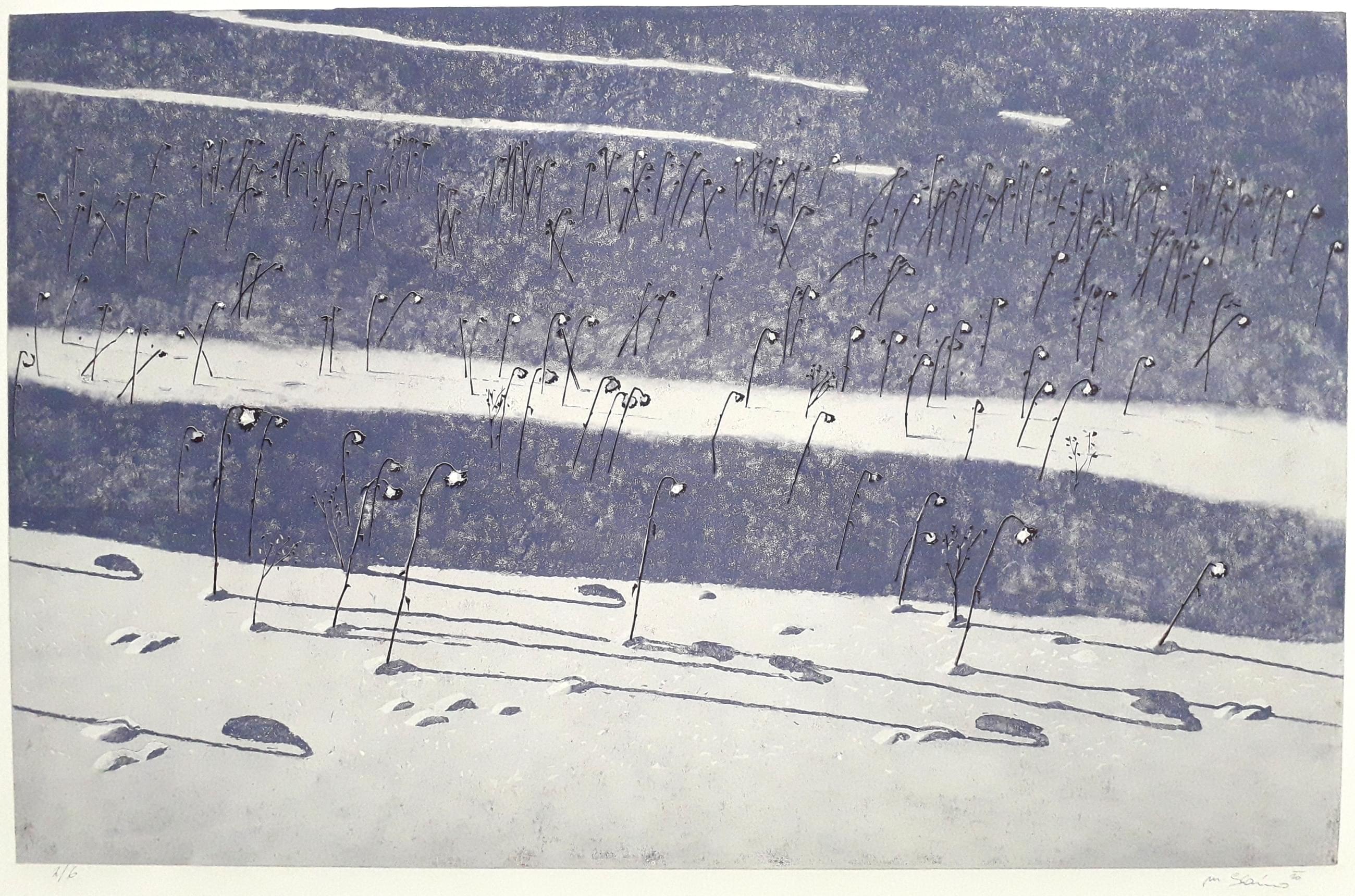 Linoryty Na hladině - SLÁMA PRESS